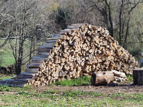 Guide On Replacing Seals In Log Splitter Simple Refresh Outdoors
