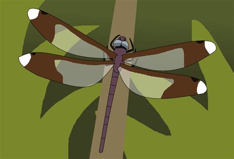 Little Big Flappers By Wildandnaturefan On Deviantart