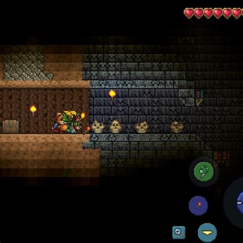 Has Anyone Else Had Their Living Tree Transition Into The Dungeon R