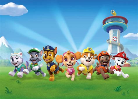 Paw Patrol Wallpapers Top Free Paw Patrol Backgrounds The Best Porn Website
