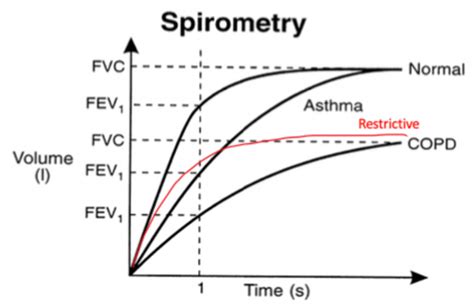 Pulmonary Function Testing Pft Flashcards Quizlet