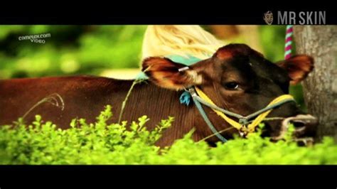 Video Sexiest Scenes Top Clips And Sexiest Pics Mr Skin
