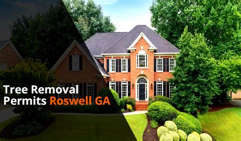 Tree Removal Laws Permit Roswell GA Quick Summary