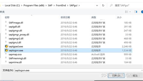 Power Automate Desktop 入门教程 第十二章 UI 自动化之自动登陆 SAP 知乎