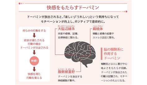 勇者ケンゴのblog