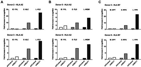 Bilf1 Predominantly Interferes With Peptide Presentation To Cd8 T