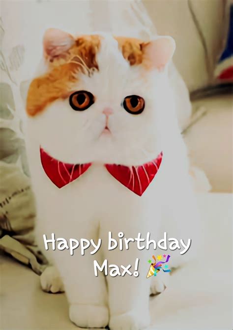 Codeforces Round 892 Div 2 Codeforces