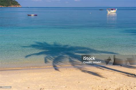 태국의 푸른 바닷물 근처 모래 해변 위에 그림자 코코넛 야자수 여름 여행 휴가 및 휴가 개념 0명에 대한 스톡 사진 및 기타