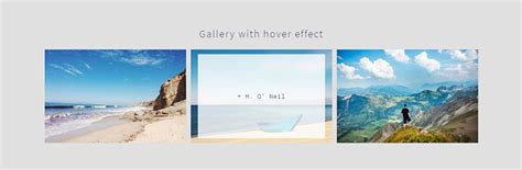 Css Image Gallery Examples That You Can Use On Your Site