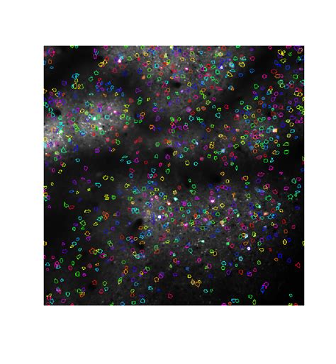 View Motion Corrected Recordings Issue 99 Cortex Lab Suite2P GitHub