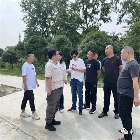 成都市统计局对我市生猪稳产保供情况进行督查 一行 养殖业 农技中心