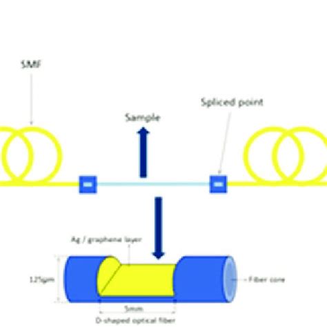 Experimental Setup To Measure Sensor Download Scientific Diagram