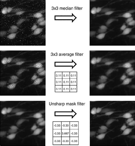 Examples Of Commonly Used Filters A Median Filter Can Be Use To Remove