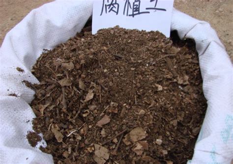 无土栽培基质有哪些 它们各自的作用是怎么样的 无土栽培技术 寿光市九合农业发展有限公司