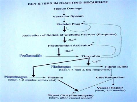 Ppt Platelet Function Dokumen Tips