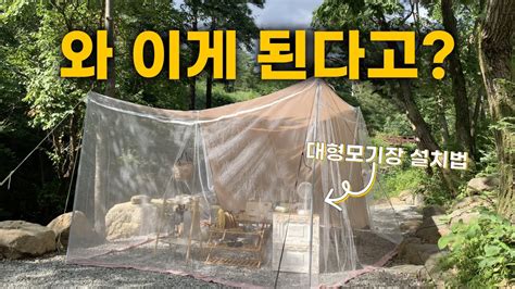 와 벌레 없이 캠핑이 되네 웰컴 투 벌레 프리존 Youtube