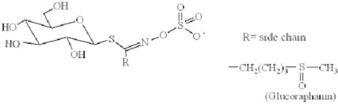 General Structure Of Intact Glucosinolates Download Scientific Diagram