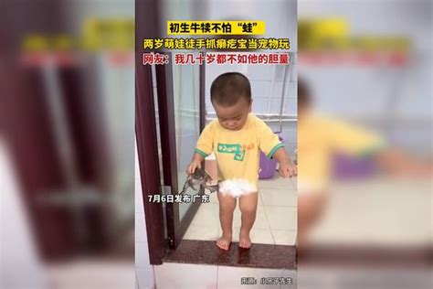 初生牛犊不怕蛙两岁萌娃徒手抓癞疙宝当宠物玩