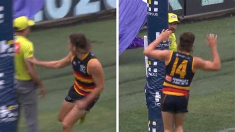 Crows Jake Soligo Faces Nervous Wait After Deliberately Touching Umpire Flipboard