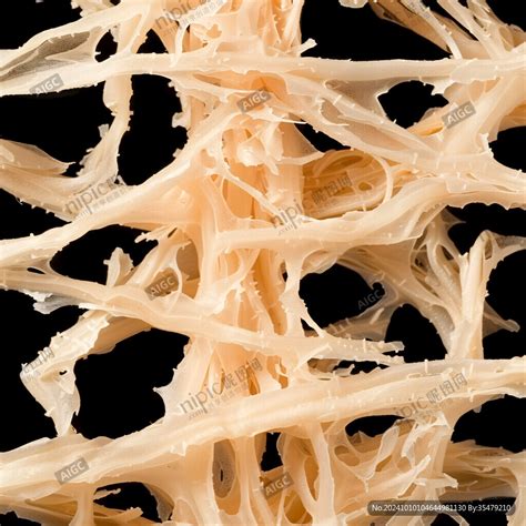 Ai创作图3d显微素材图 虫草菌丝体 洋葱表皮细胞 菌微观世界 白色肌纤维 细丝状软骨 真菌剪刀面 蘑菇菌丝体 茎皮纤维 响油菌丝 黄色的菌丝