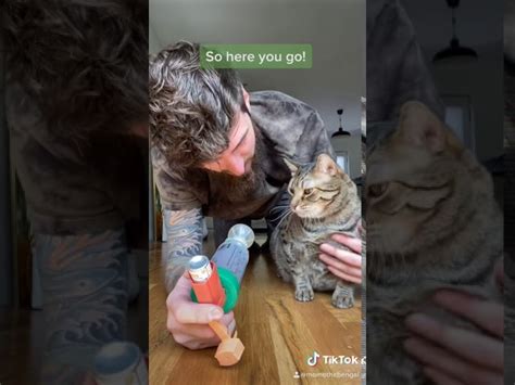 Cat With Asthma Takes Inhaler Cat World News