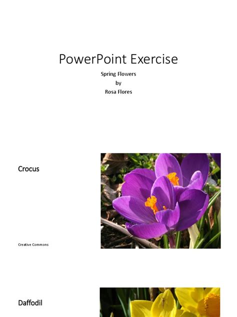 powerpoint exercise pdf