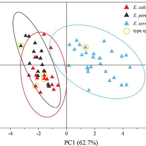 The Principal Component Analysis Pca Plot For The Morphological The Principal Component Analysis Pca Plot For The Morphological