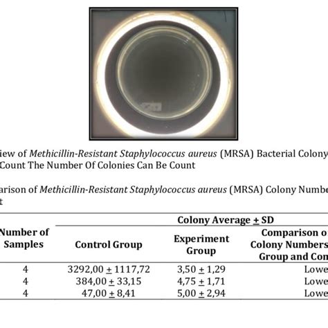 Overview Of Methicillin Resistant Staphylococcus Aureus Mrsa Colony Download Scientific