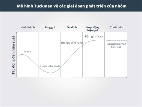 Mô Hình Tuckman Về Các Giai Đoạn Phát Triển Của Nhóm Quản lý công việc