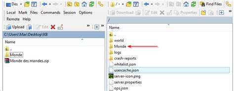 Uploading A Custom World Knowledgebase Bisecthosting