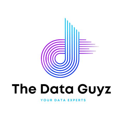 The Data Guyz Your Data Experts Your Data Experts