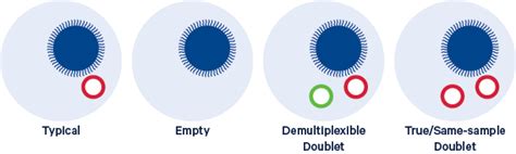 What Is Fixed RNA Profiling Official 10x Genomics Support