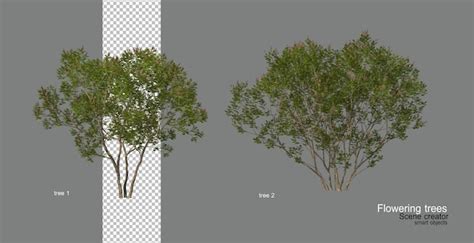 premium psd a tree with flowers of various colors