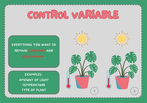 Scientific Variables Posters Independent Dependent And Control Variables