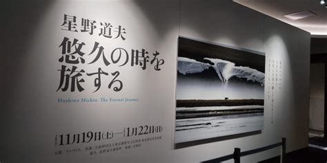 「星野道夫 悠久の時を旅する」写真展／イルミネーションを抜け時空を超えた奇跡の旅へ 月と柳