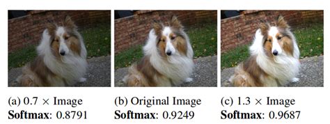 Now Reading Confidence Estimation In Deep Neural Networks Via Density