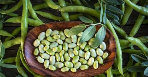 Lima Beans Essential Nutrients 8 Powerful Benefits Downsides And