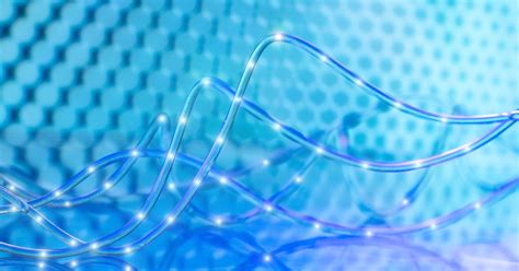 High Frequency Brain Wave Patterns In The Motor Cortex Can Predict An Upcoming Movement