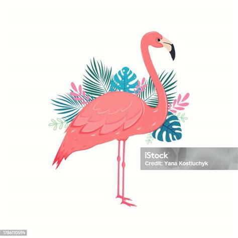흰색 배경에 야자수 잎이 있는 핑크 플라밍고입니다 벡터 일러스트 레이 션 가냘픈에 대한 스톡 벡터 아트 및 기타 이미지 가냘픈 긴 길이 Istock