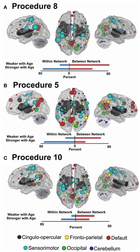 Node Strength For The Consensus Features That Best Predict Age For Download Scientific
