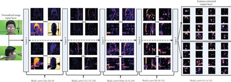 features extracted in output layer and representation of feature map in download scientific