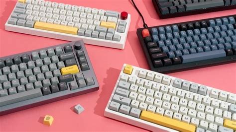 Comparison Between Tenkeyless Tkl Keyboard Vs 65 Keyboard Tvboxbee