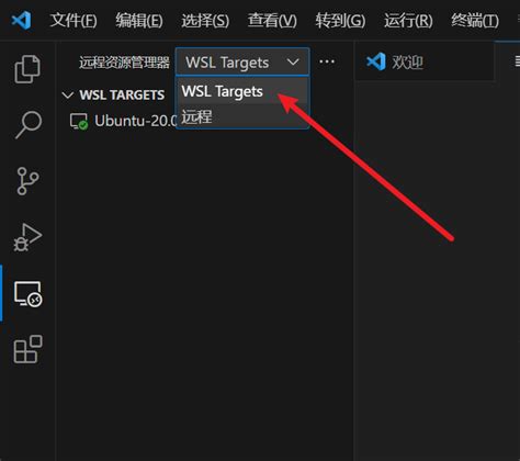 VSCode连接wsl vlson 博客园