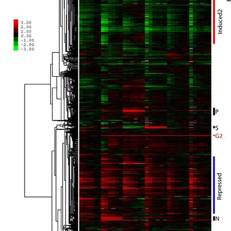 Hierarchical Clustering Of Expression Values Across Dilution Rates And