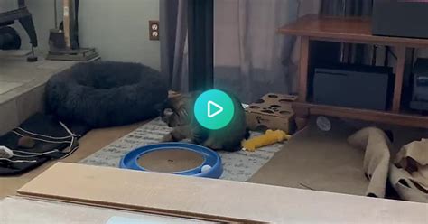 Scratch Scratch Album On Imgur