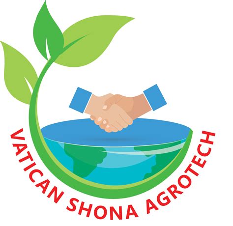 Sandalwood Farming In India Vatican Shona Agrotech