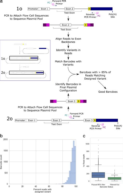 Quality Control For Plasmid Integrity A Quality Control Pipeline For