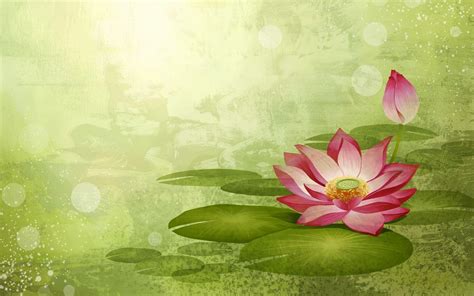 Lotus Flower Wallpapers Wallpaper Cave