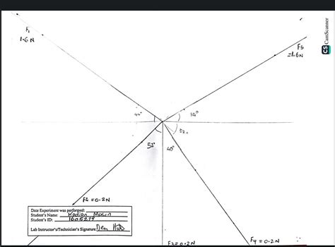 Solved Raw Data Sheet Polygon Of Forces