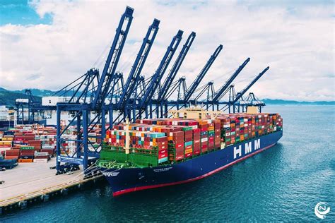 Data Warehouse Examples Peliqan